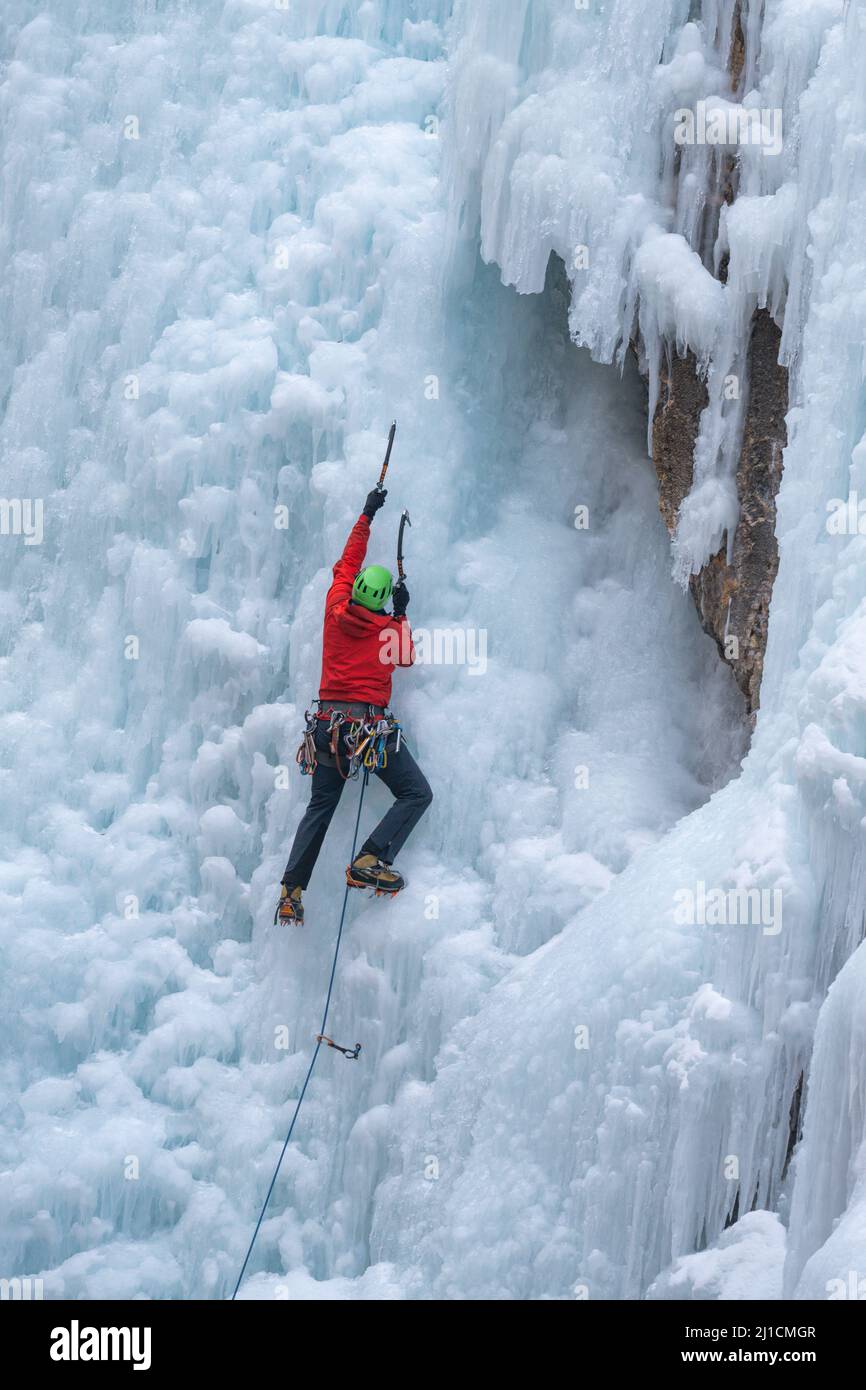 A male ice climber lead climbs an ice wall 160' high using ice axes and ...