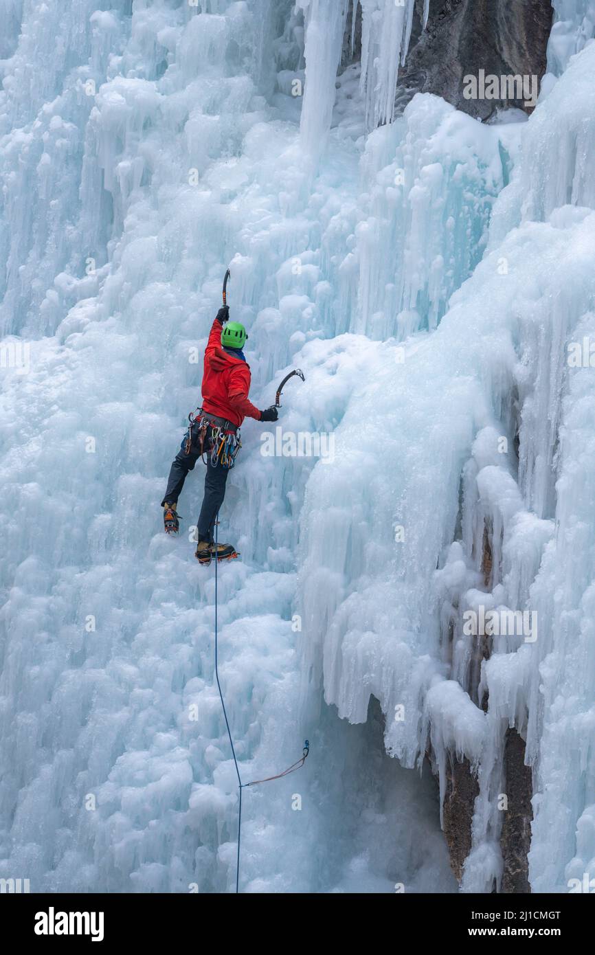A male ice climber lead climbs an ice wall 160' high using ice axes and ...