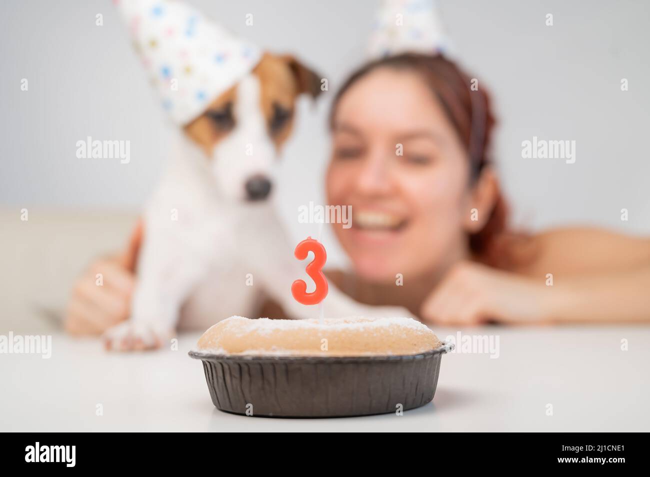 Caucasian woman and jack russell terrier in holiday caps look at the ...