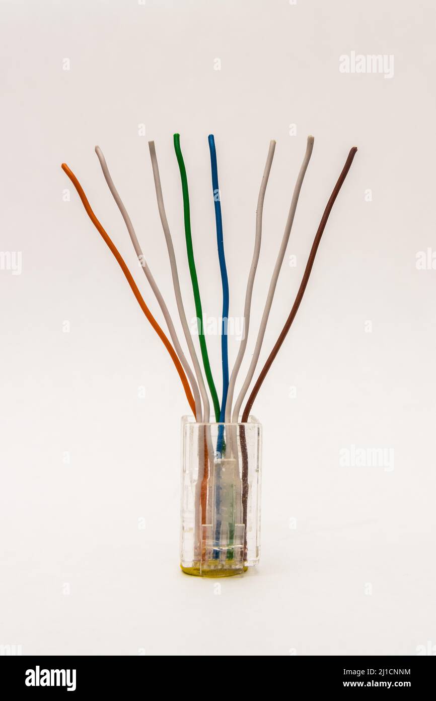 An RJ 45 connector with wires Stock Photo - Alamy