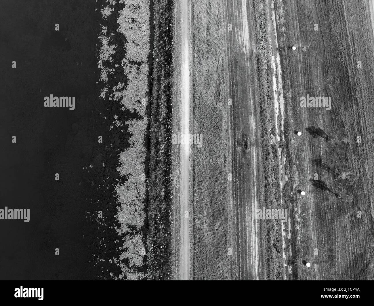 Top down view of a dam wall in monotone. Aquatic plants on the waters ...