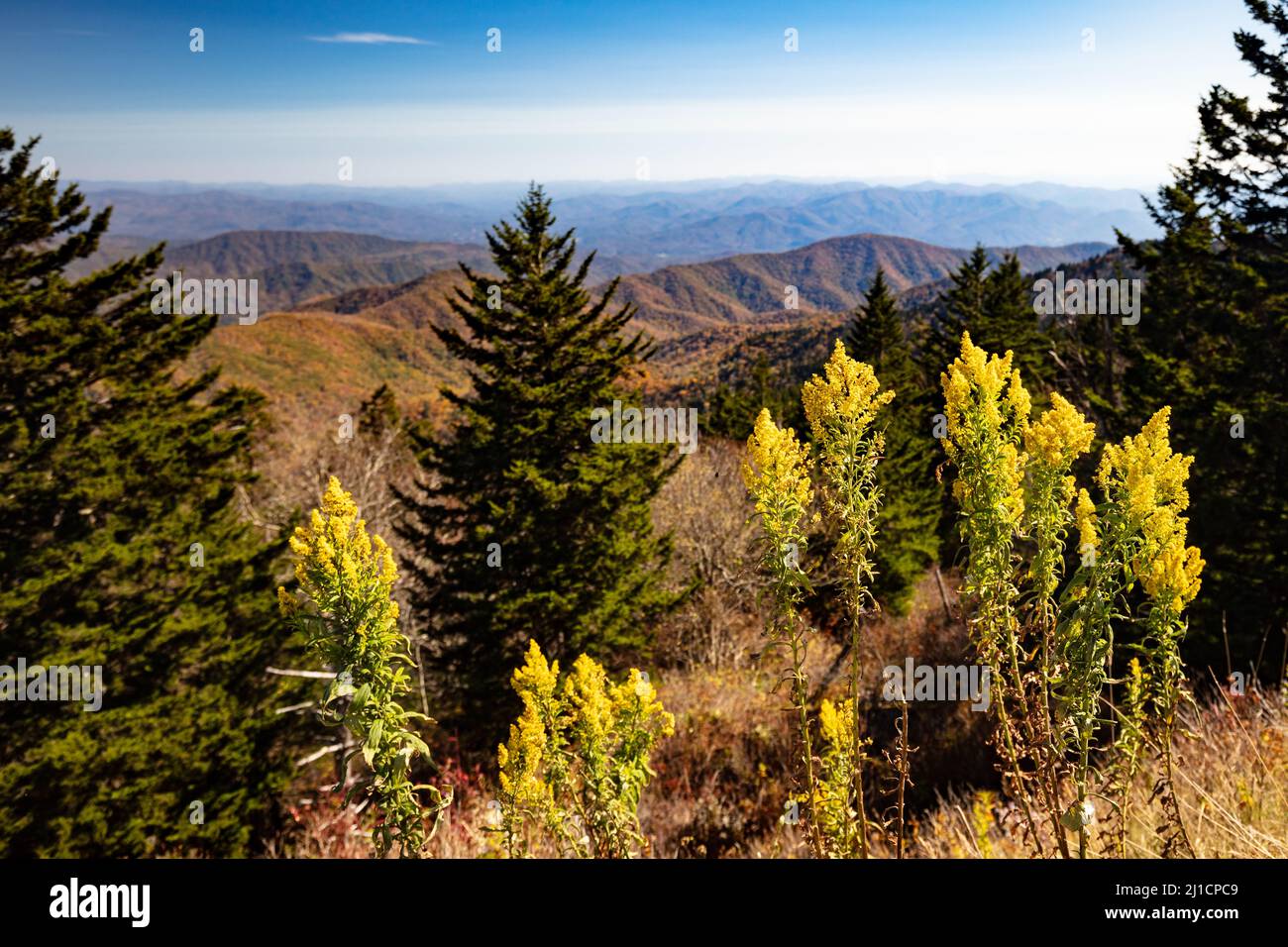Smoky mountains hike autumn hi-res stock photography and images - Alamy