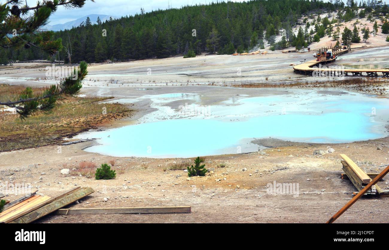 In the distance you can see a Yellowstone park ranger making ...