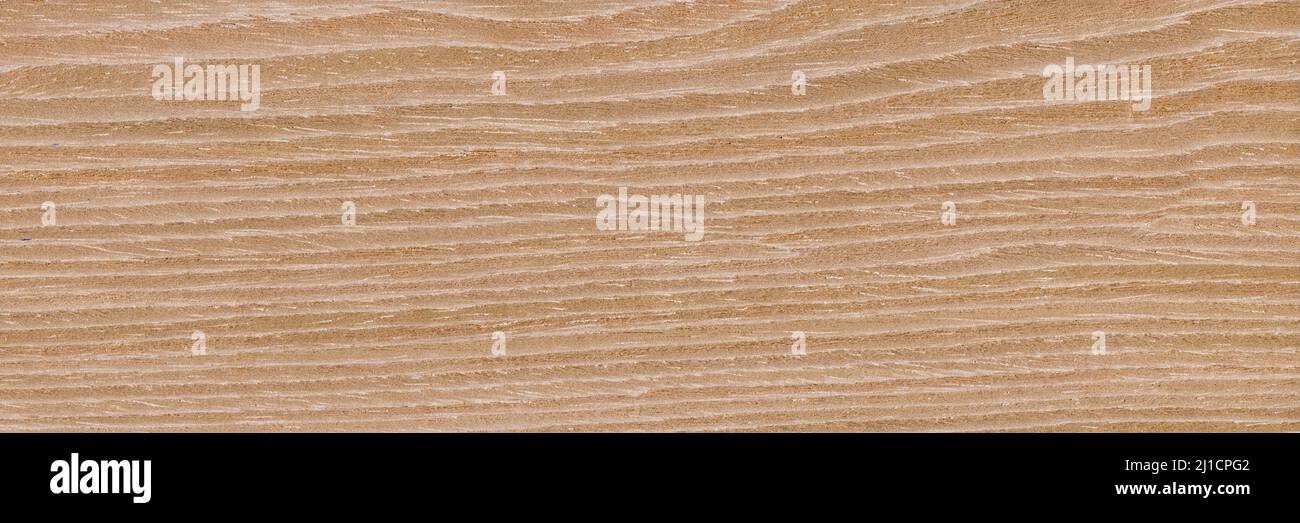Wood grain texture. Oak wood, can be used as background, pattern ...