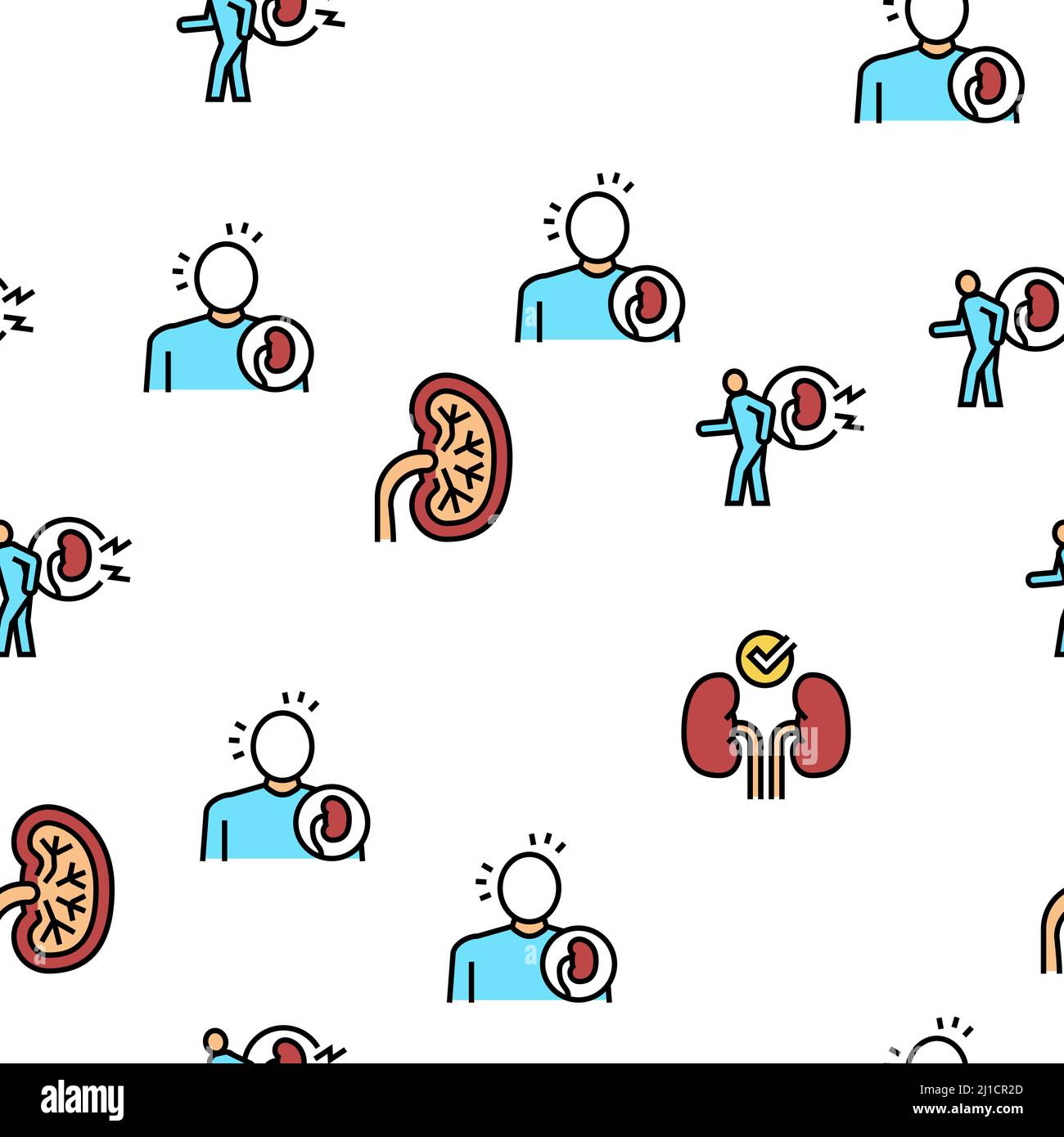 Nephritis Kidneys Vector Seamless Pattern Stock Vector Image & Art - Alamy