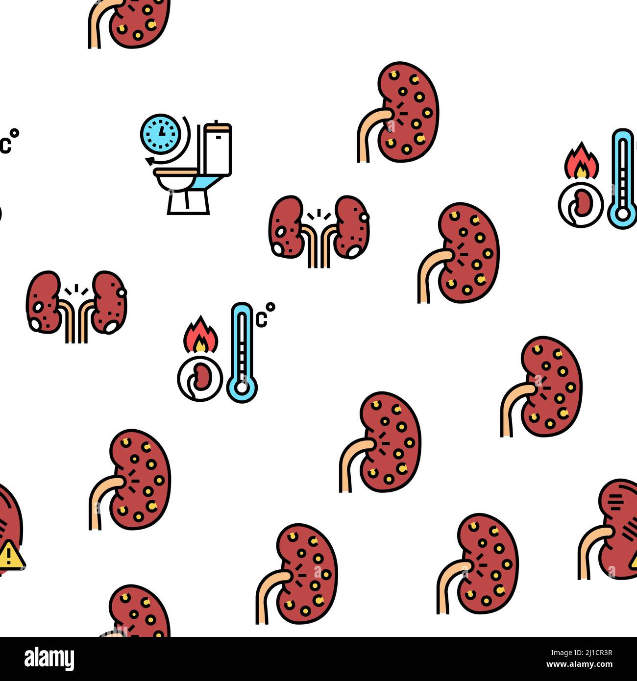Nephritis Kidneys Vector Seamless Pattern Stock Vector Image & Art - Alamy
