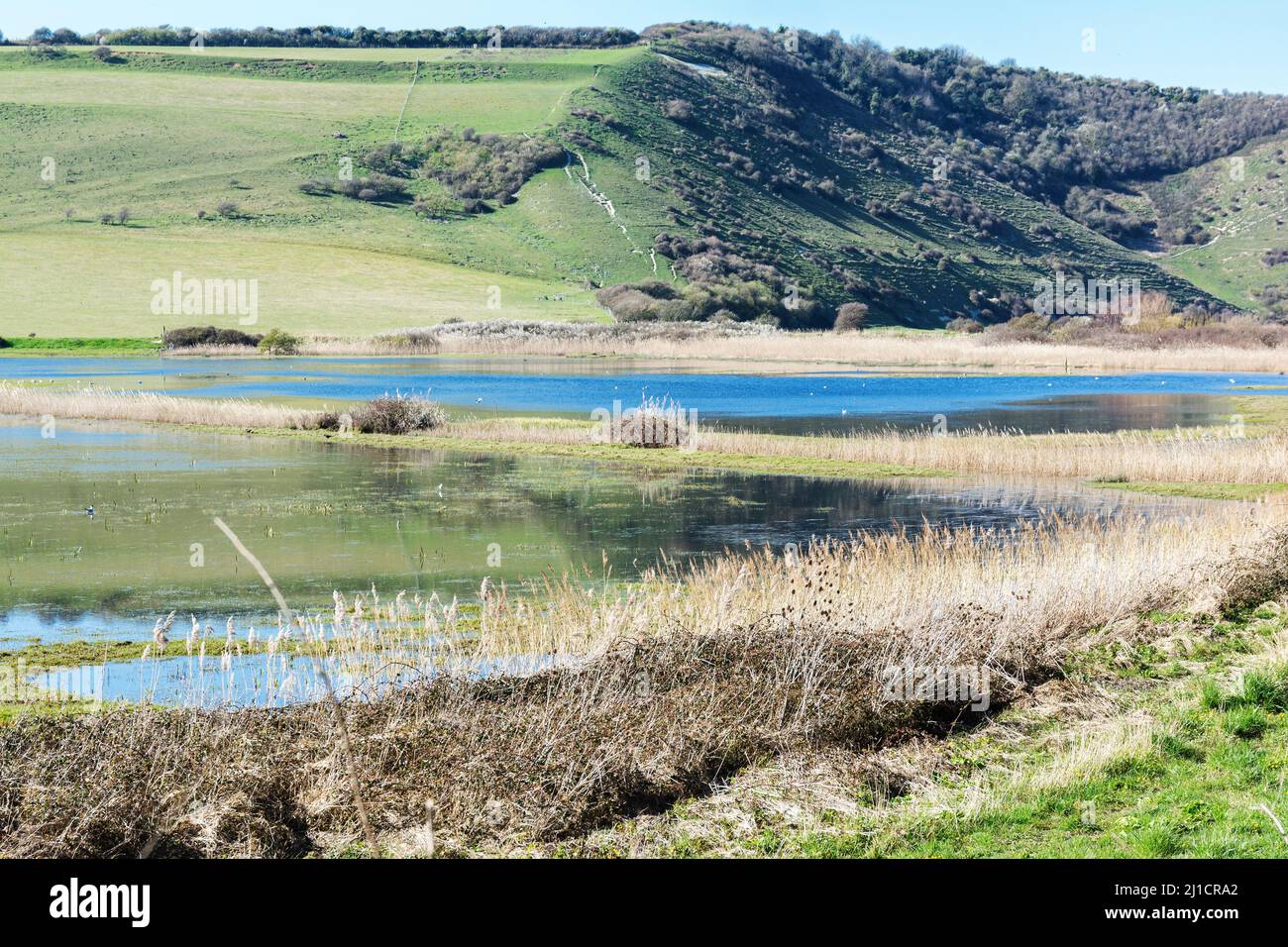 View of Cuckmere river, Sussex Stock Photo - Alamy