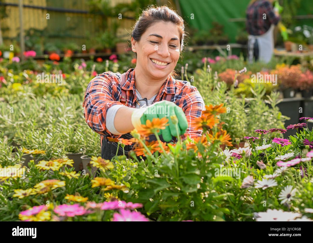 Happy gardener in floral hi-res stock photography and images - Alamy