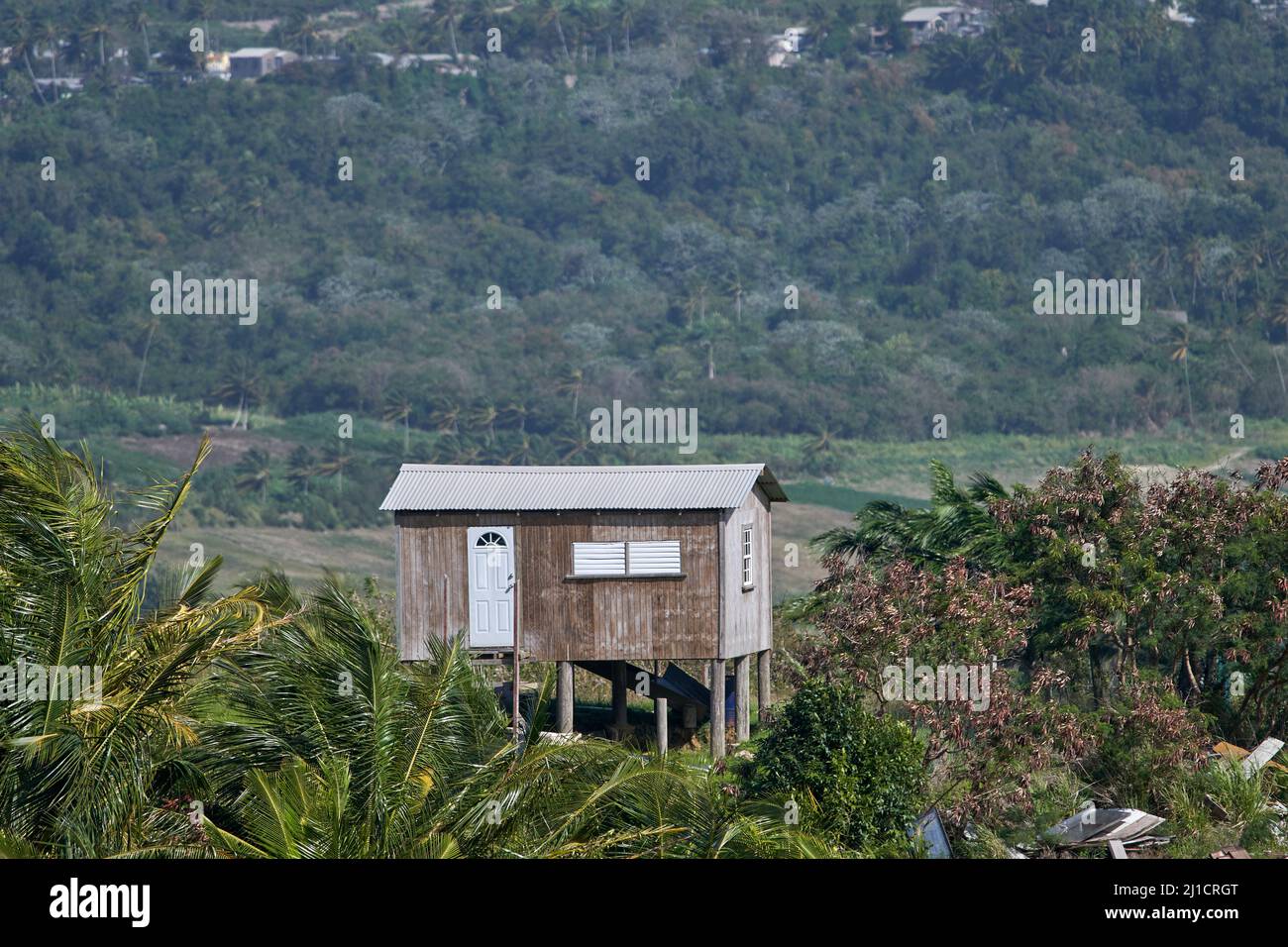 A small wooden hut in the woods Stock Photo - Alamy