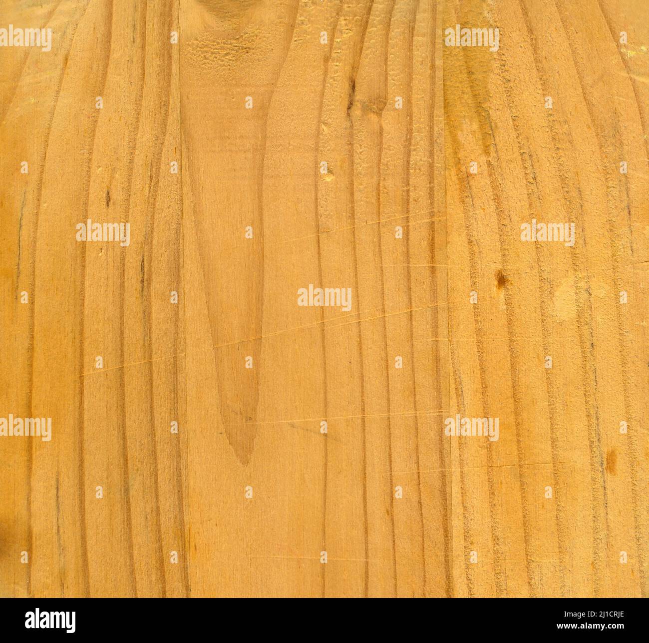 Wood grain texture. Pine wood, can be used as background, pattern ...