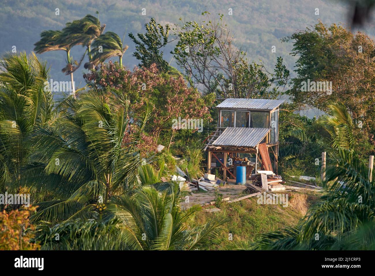 A small wooden hut under construction in a tropical forest Stock Photo ...