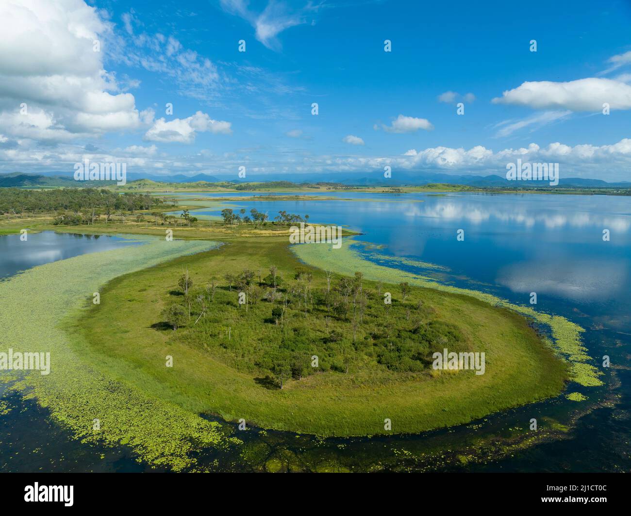 Drone aerial above a patch of land in a dam surrounded by aquatic ...