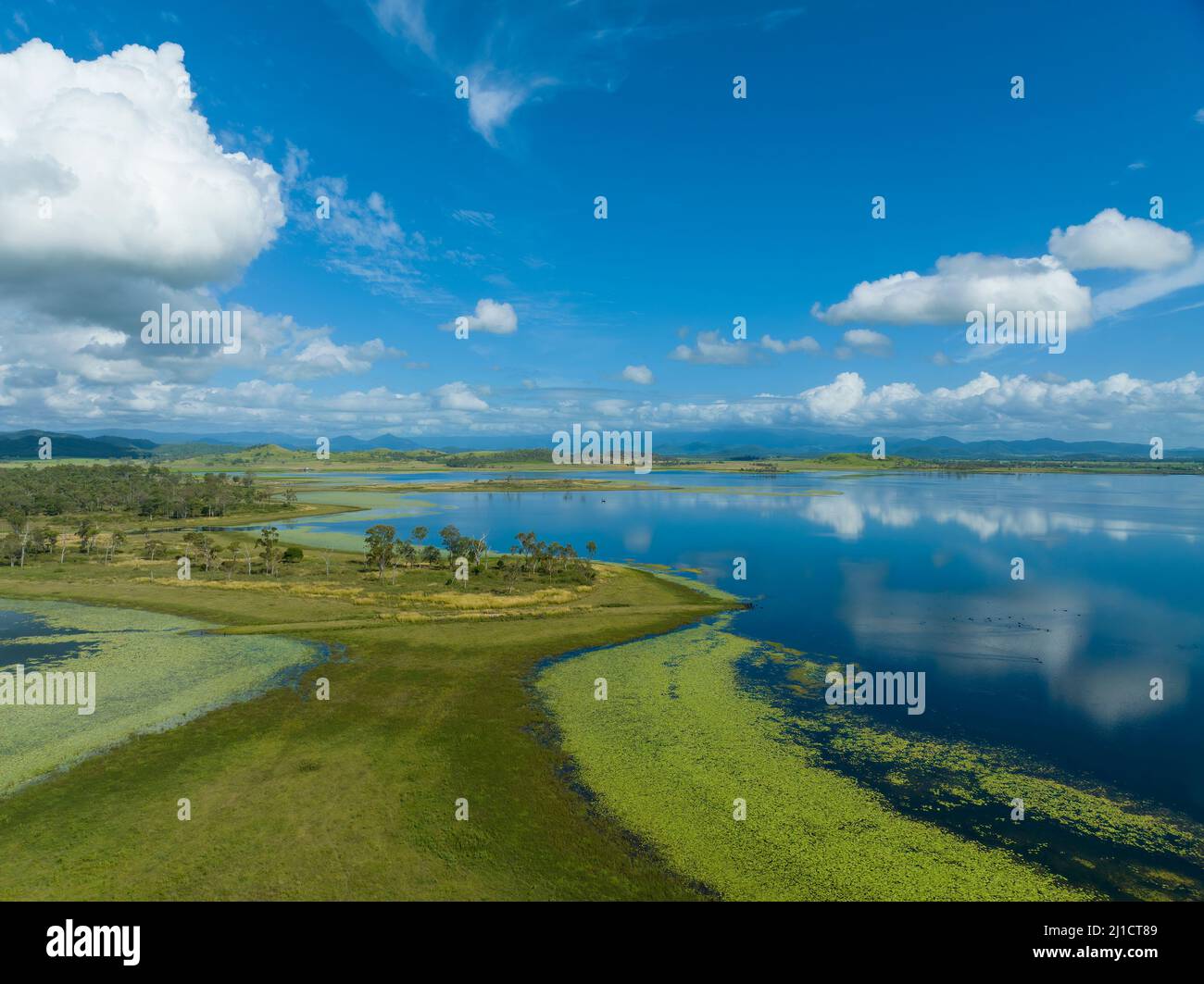 Drone aerial above a patch of land in a dam surrounded by aquatic ...