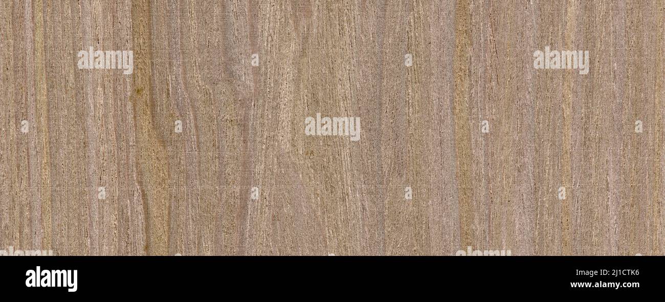Wood grain texture. Teak wood, can be used as background, pattern ...