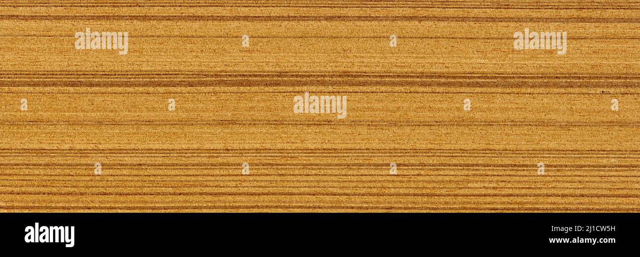 Wood grain texture. Teak wood, can be used as background, pattern ...