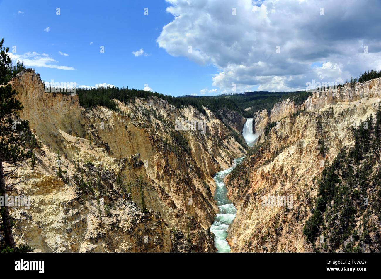 Vista shows the Grand Canyon of the Yellowstone in Yellowstone National ...