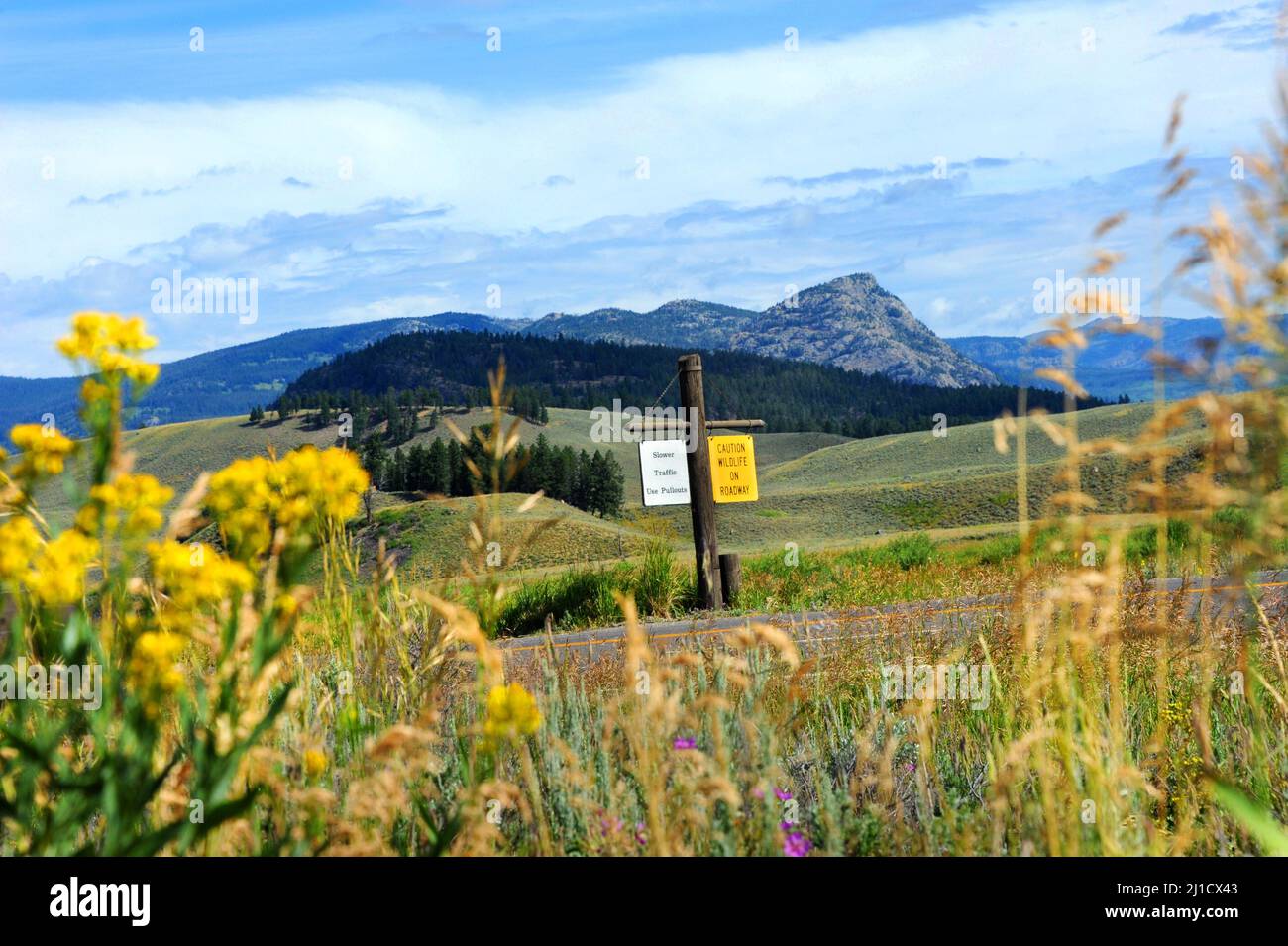 Rustic sign warns visitors, "Caution Wildlife on Roadway." Highway runs ...