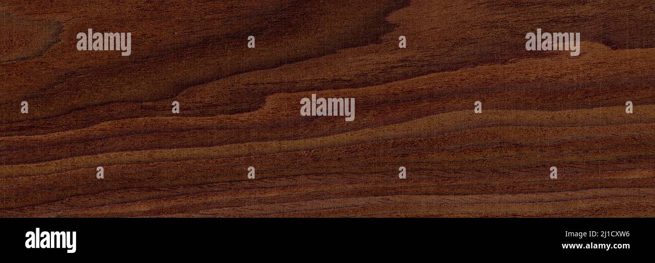 Wood grain texture. Walnut wood, can be used as background Stock Photo ...