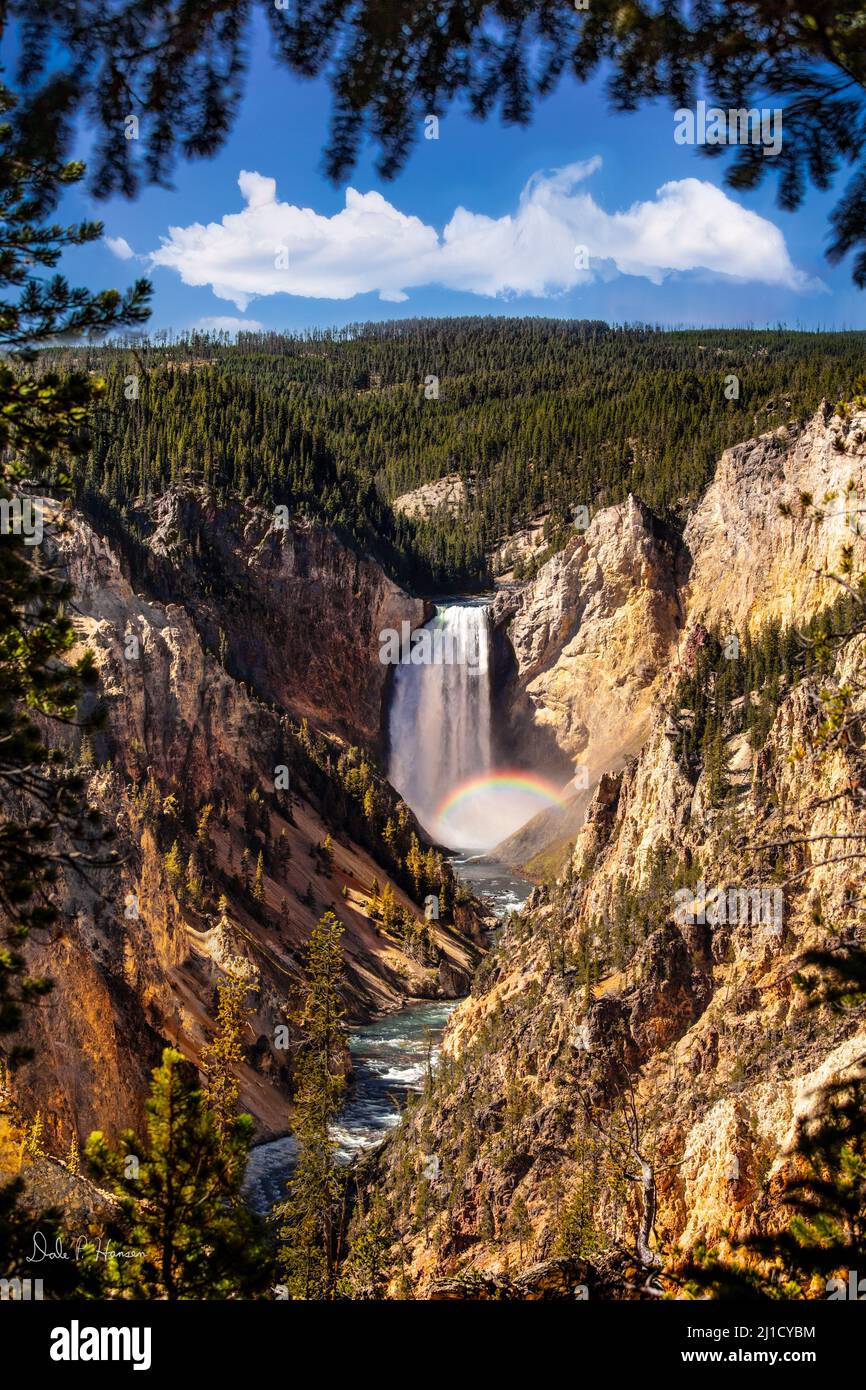 Lower falls and yellowstone hi-res stock photography and images - Alamy