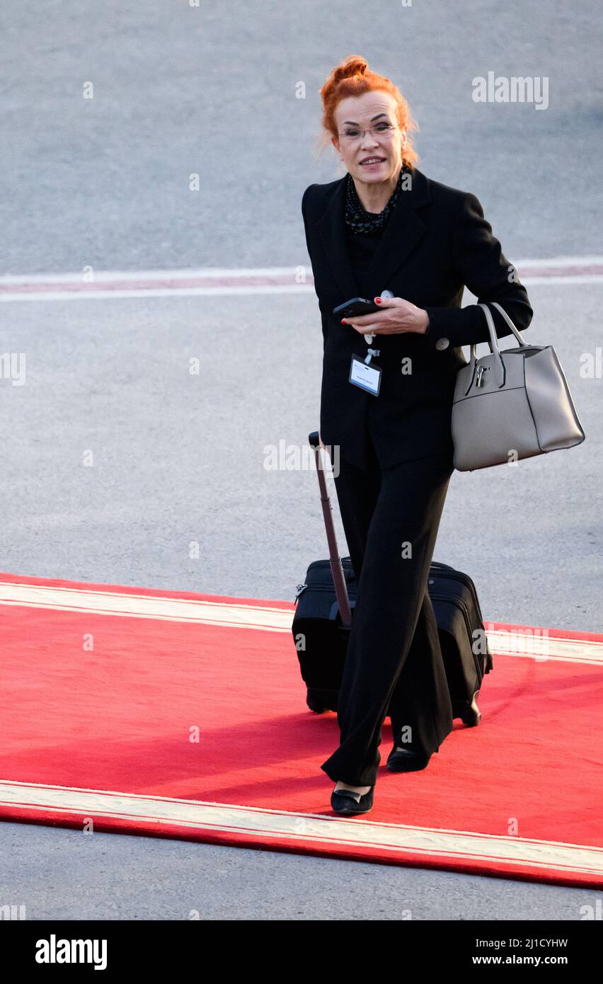 Sap boards hi-res stock photography and images - Alamy