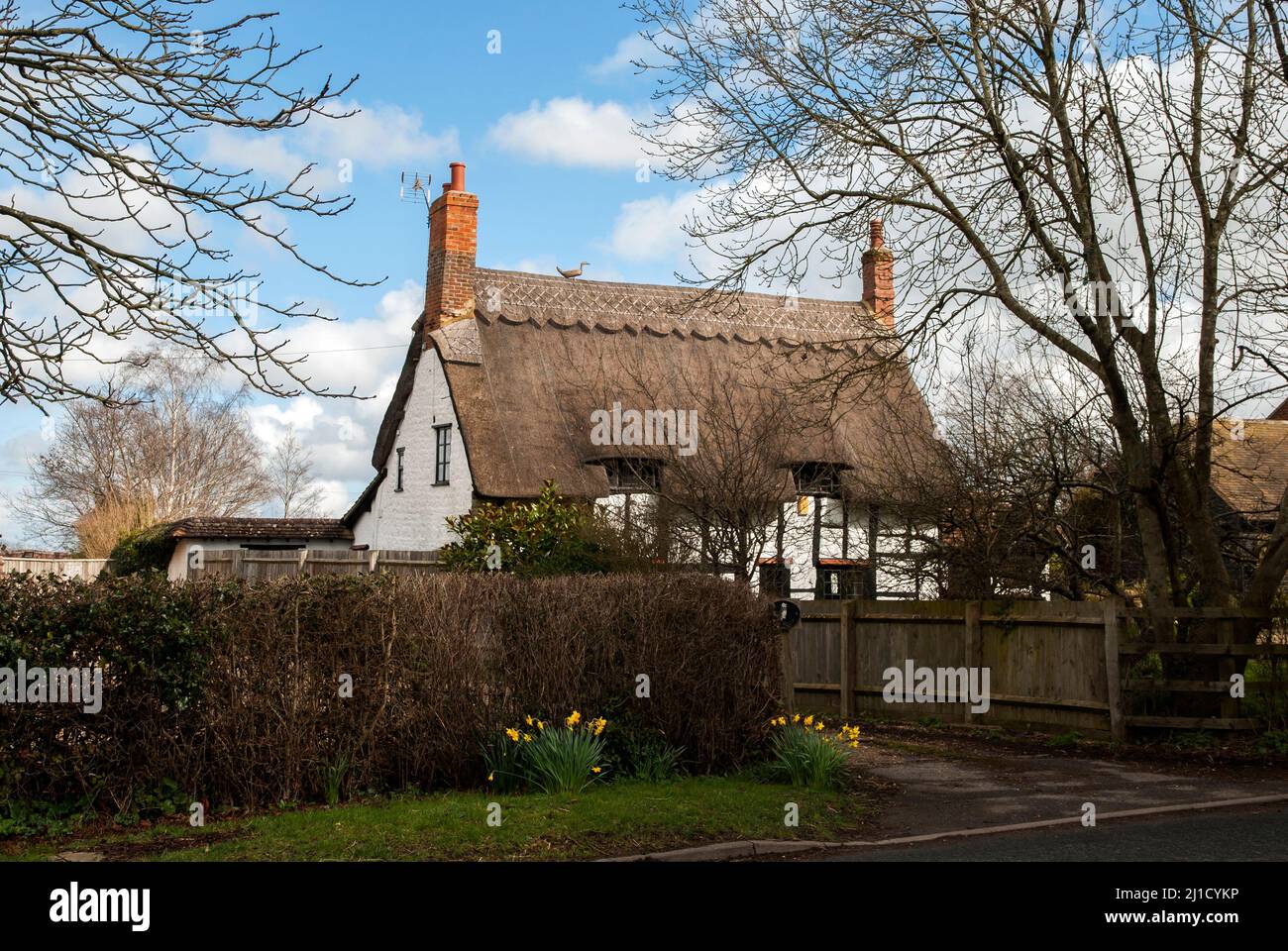 Old traditional romantic thatched roof English country house Stock ...