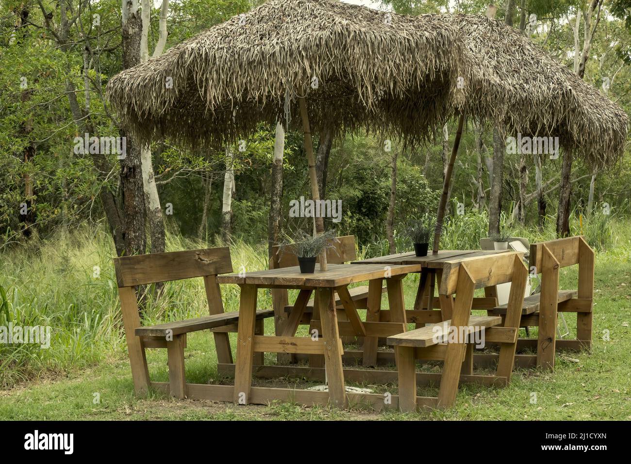 An outdoor setting of timber tables and seating under thatched ...