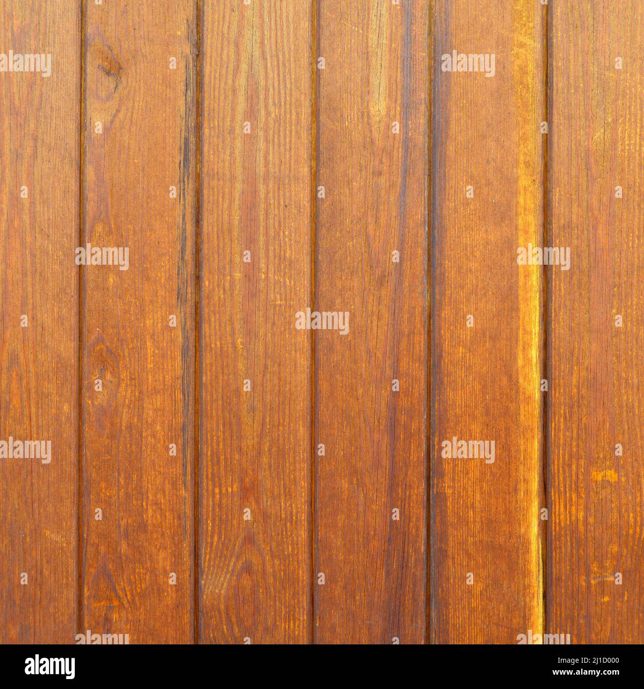 Wood grain texture. Pine wood, can be used as background, pattern ...