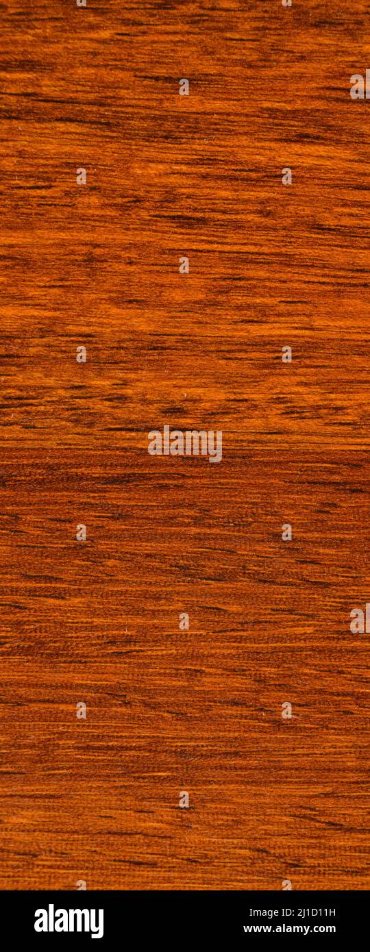 Wood grain texture. Mahogany wood, can be used as background, pattern ...