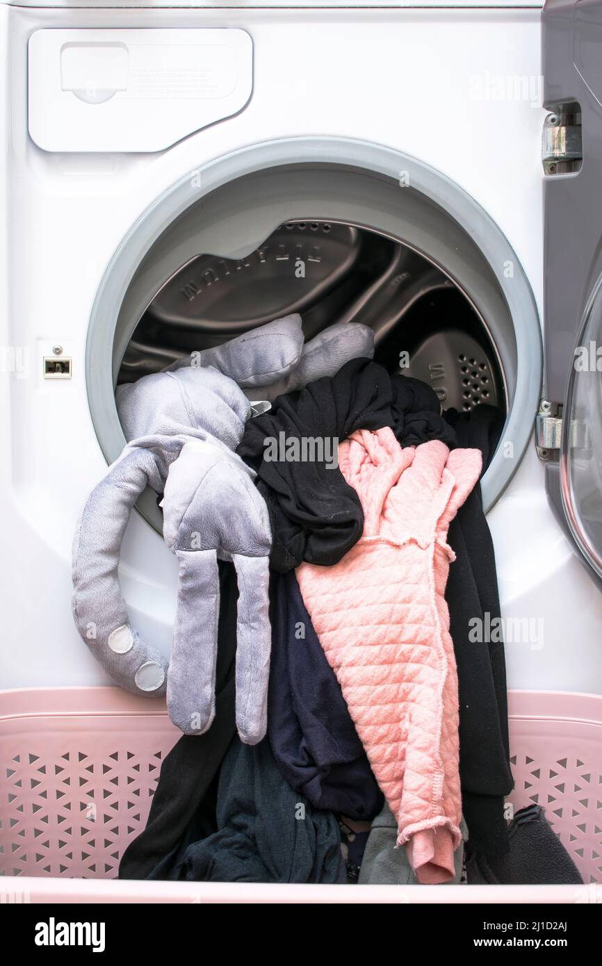 washed clean laundry taken out of the washing machine Stock Photo - Alamy