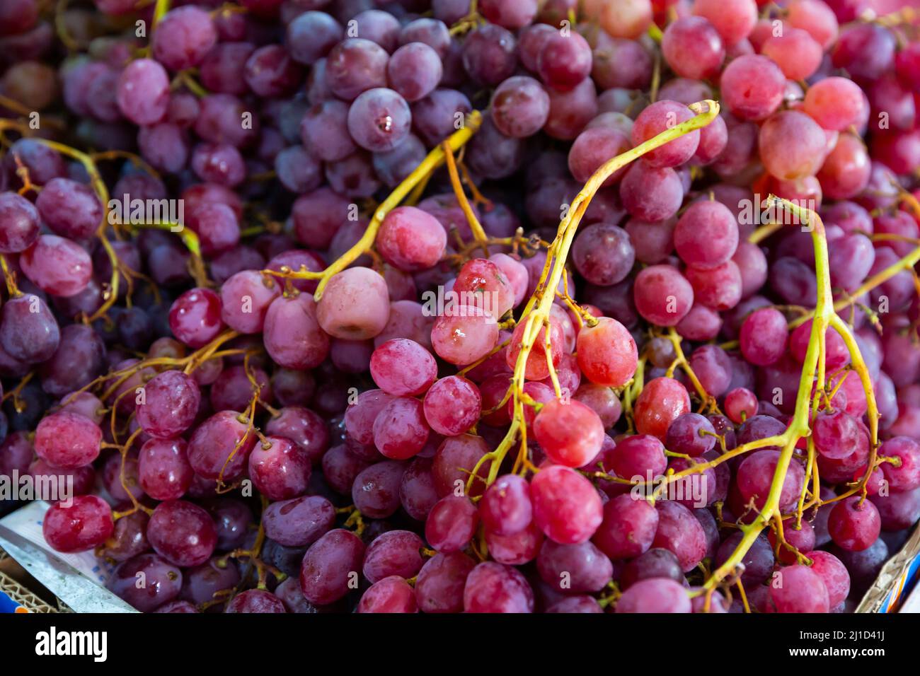 Ripe organic red grape in the product store Stock Photo - Alamy