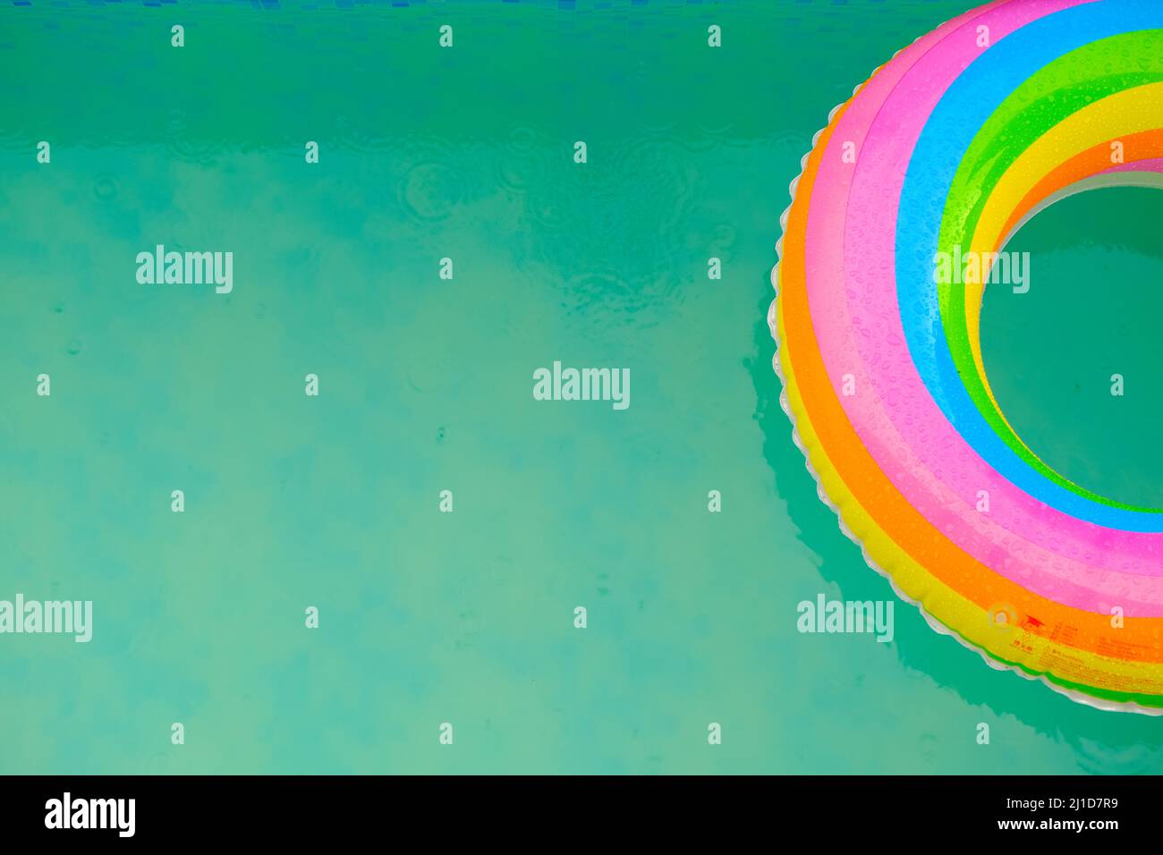 swim ring in the pool.Summer time. Swimming ring in the pool in water ...