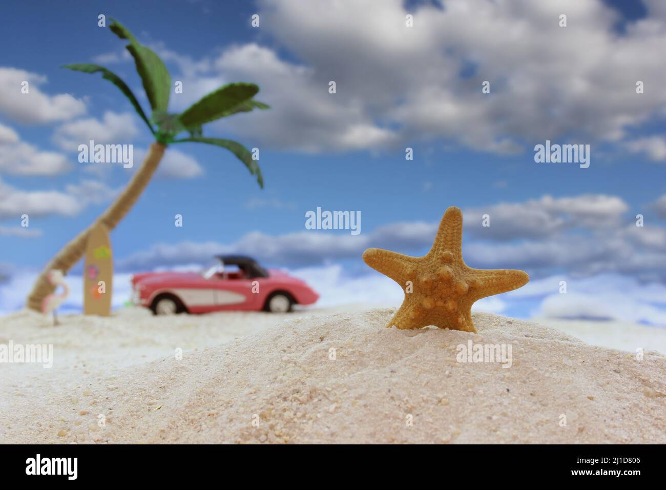 Seashell on Tropical Beach With Vintage Hot Rod in Background Stock ...