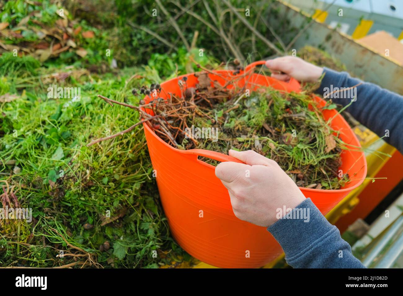 Green compost.Vegetable waste.vegetable compost in an orange silicone ...
