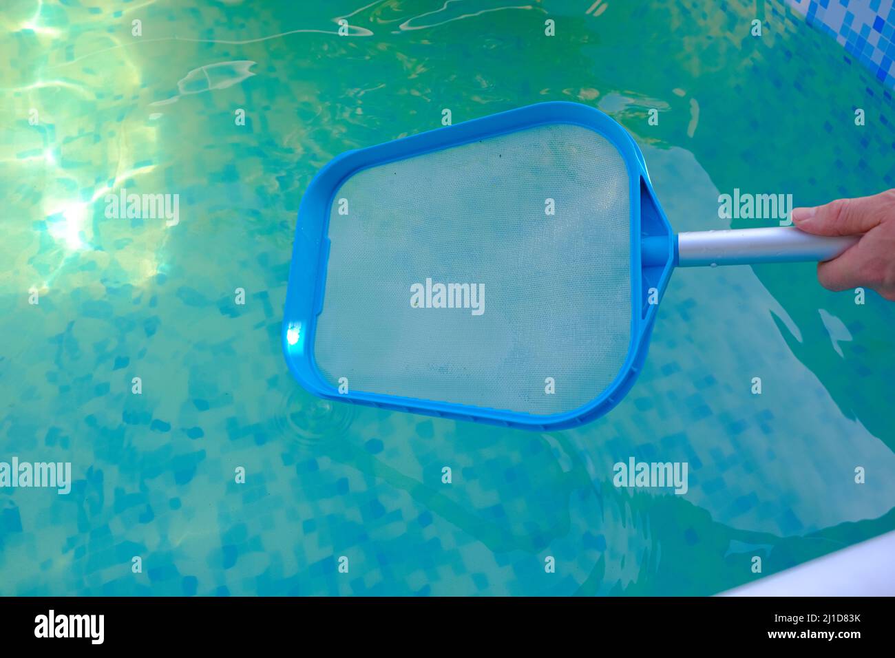 Pool Cleaning.Net for cleaning the pool in male hands on blue water ...