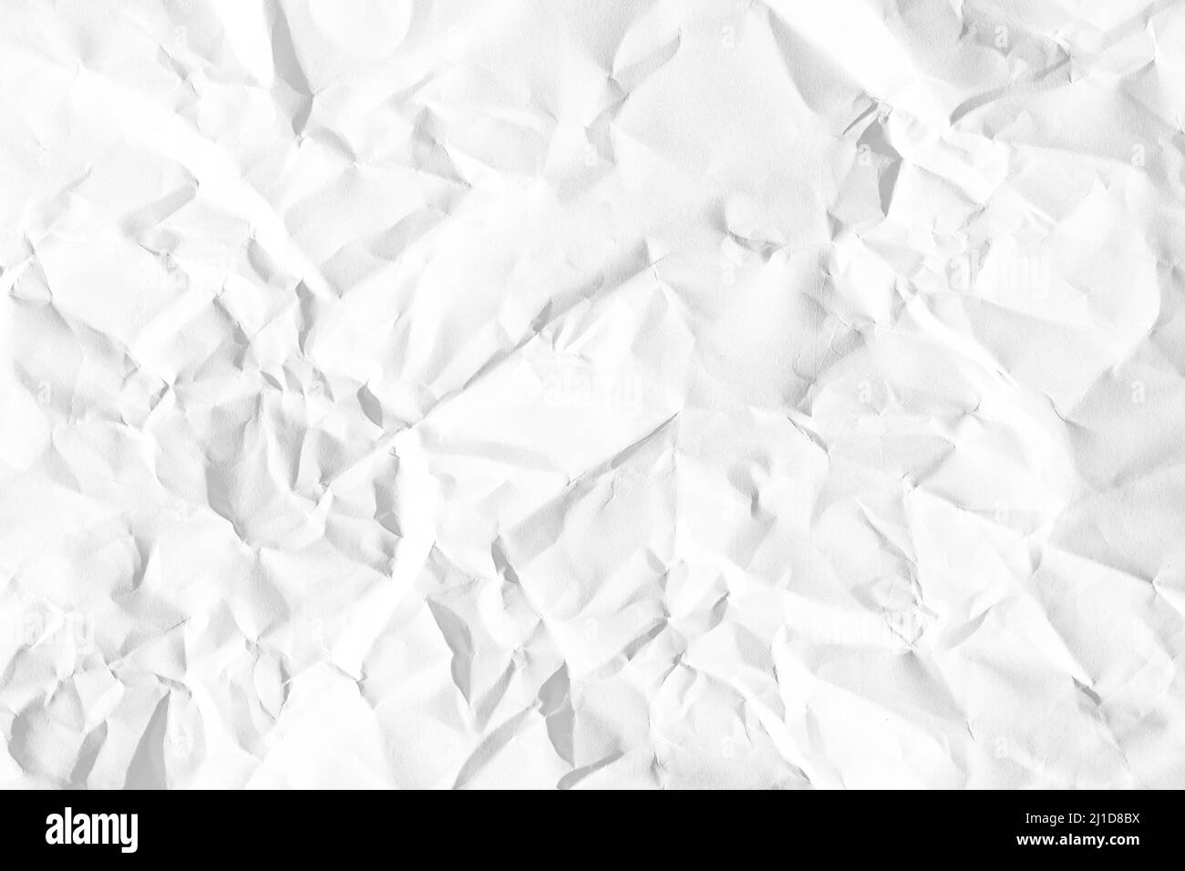 White Book Cover Texture