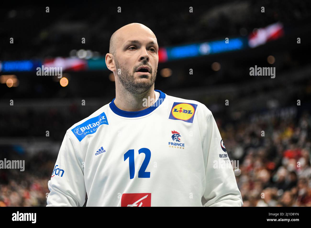 Goalkeeper Vincent Gerard (France) against Denmark. EHF Euro 2022 ...