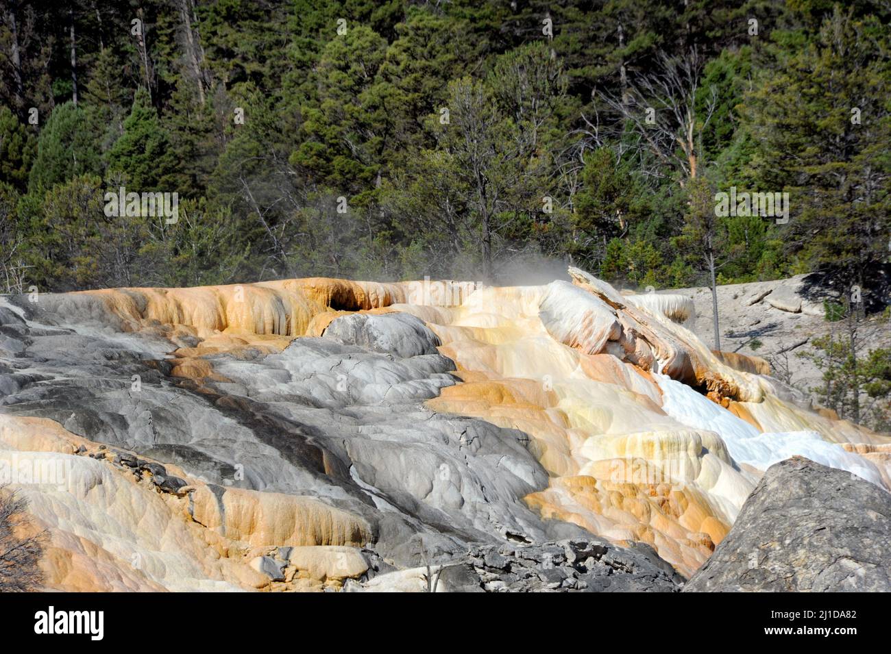 Mounds of travertine compose Mammoth Hot Springs. Steam escapes from ...