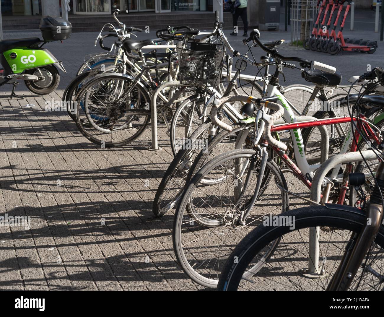 Bicycles on the street in center of Brussels Stock Photo - Alamy