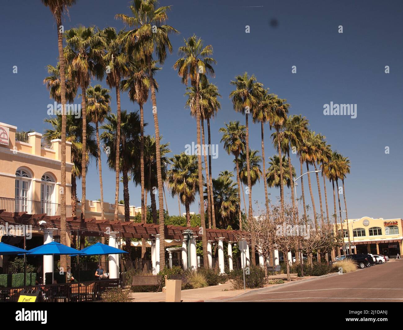 North San Marcos Place in downtown Chandler, Arizona lined with palm ...