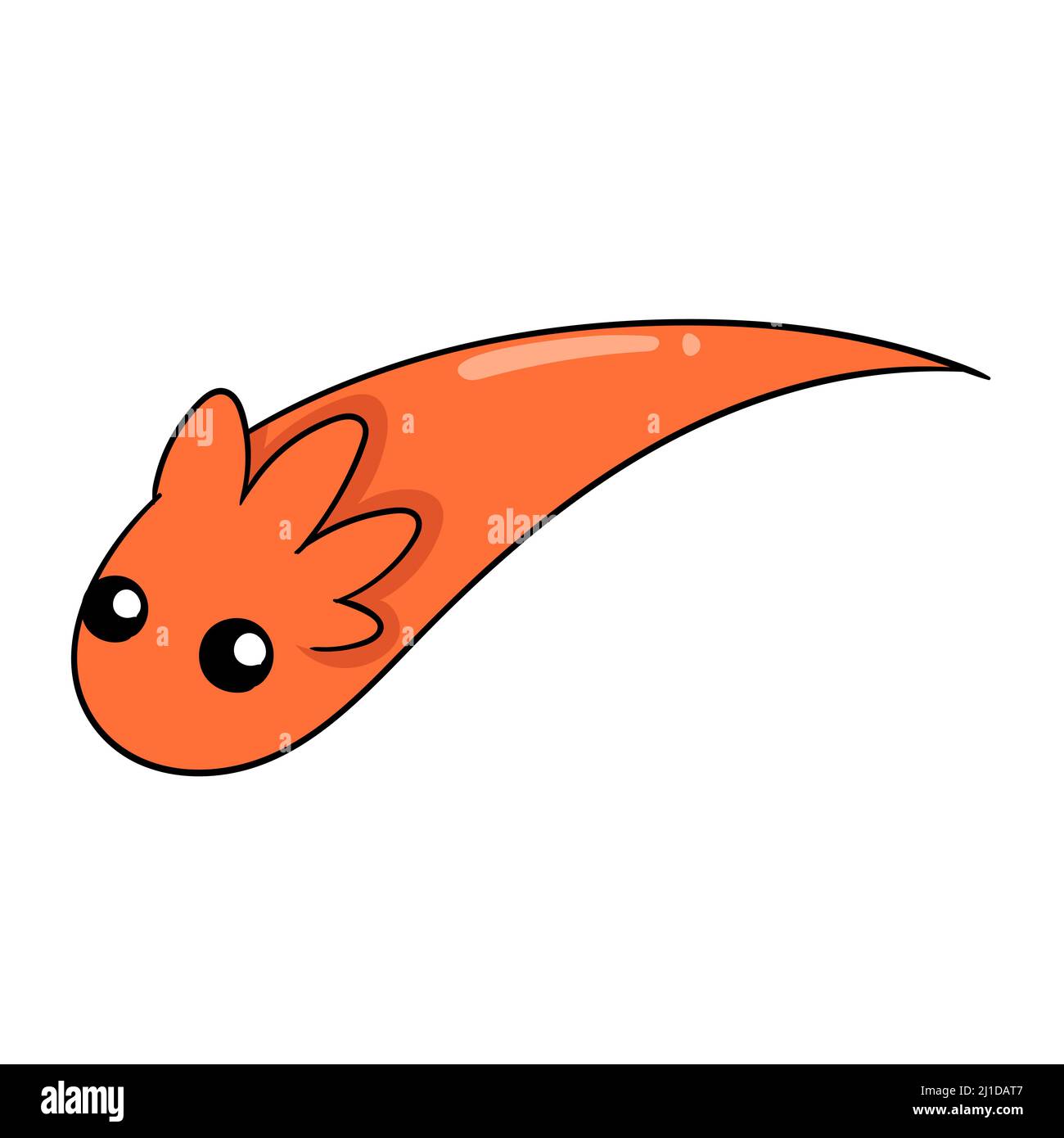 cute orange seed shaped creature Stock Vector Image & Art - Alamy