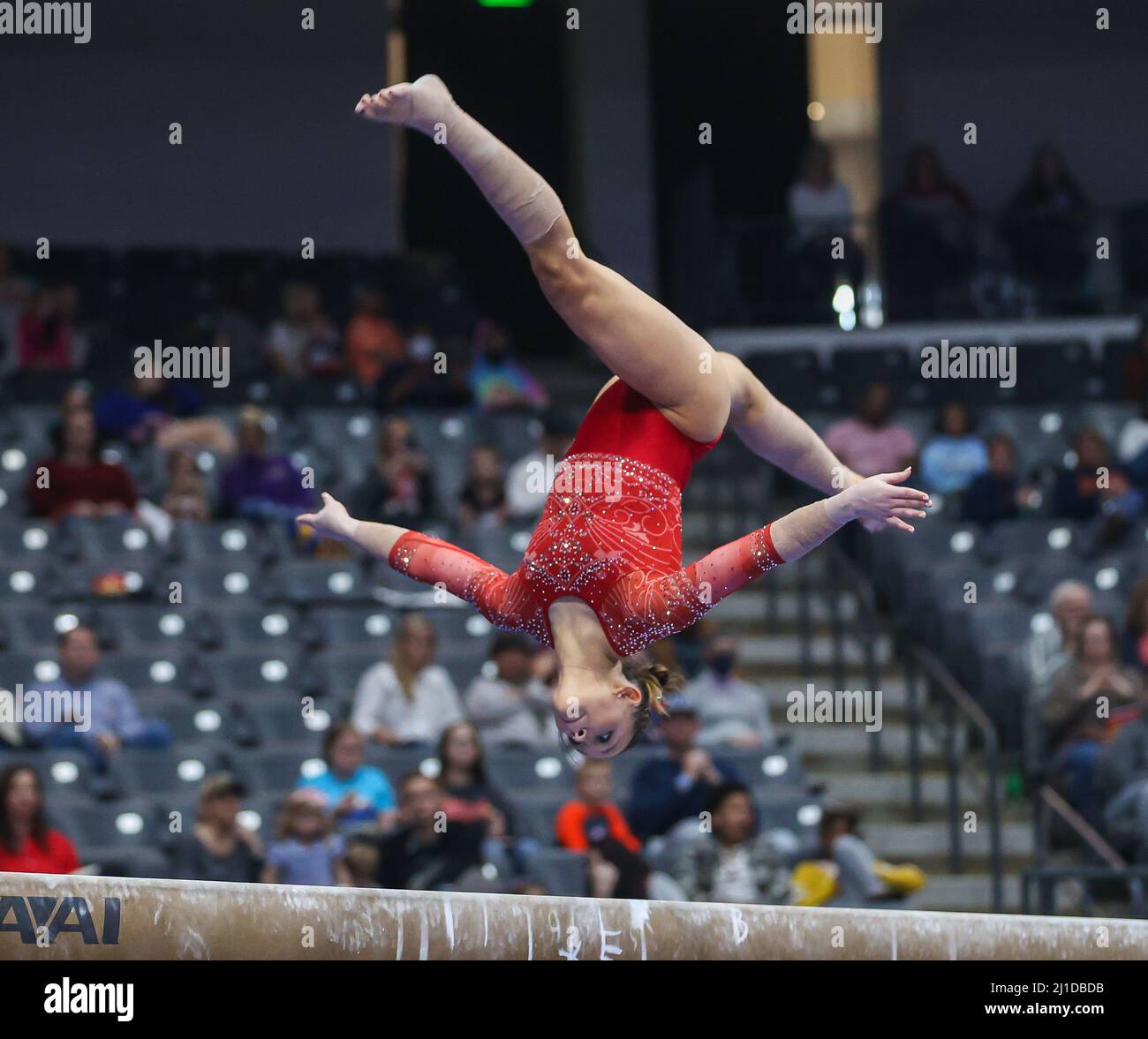 Birmingham, AL, USA. 19th Mar, 2022. Arkansas' Amanda Elswick performs ...