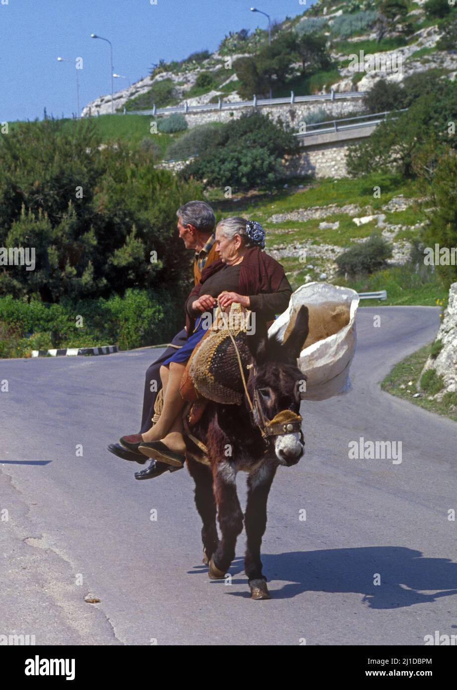 Mule transport on back hi-res stock photography and images - Alamy