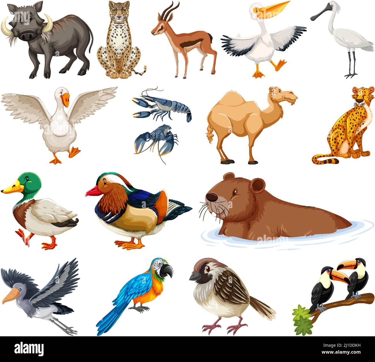 Different kinds of animals collection illustration Stock Vector Image ...