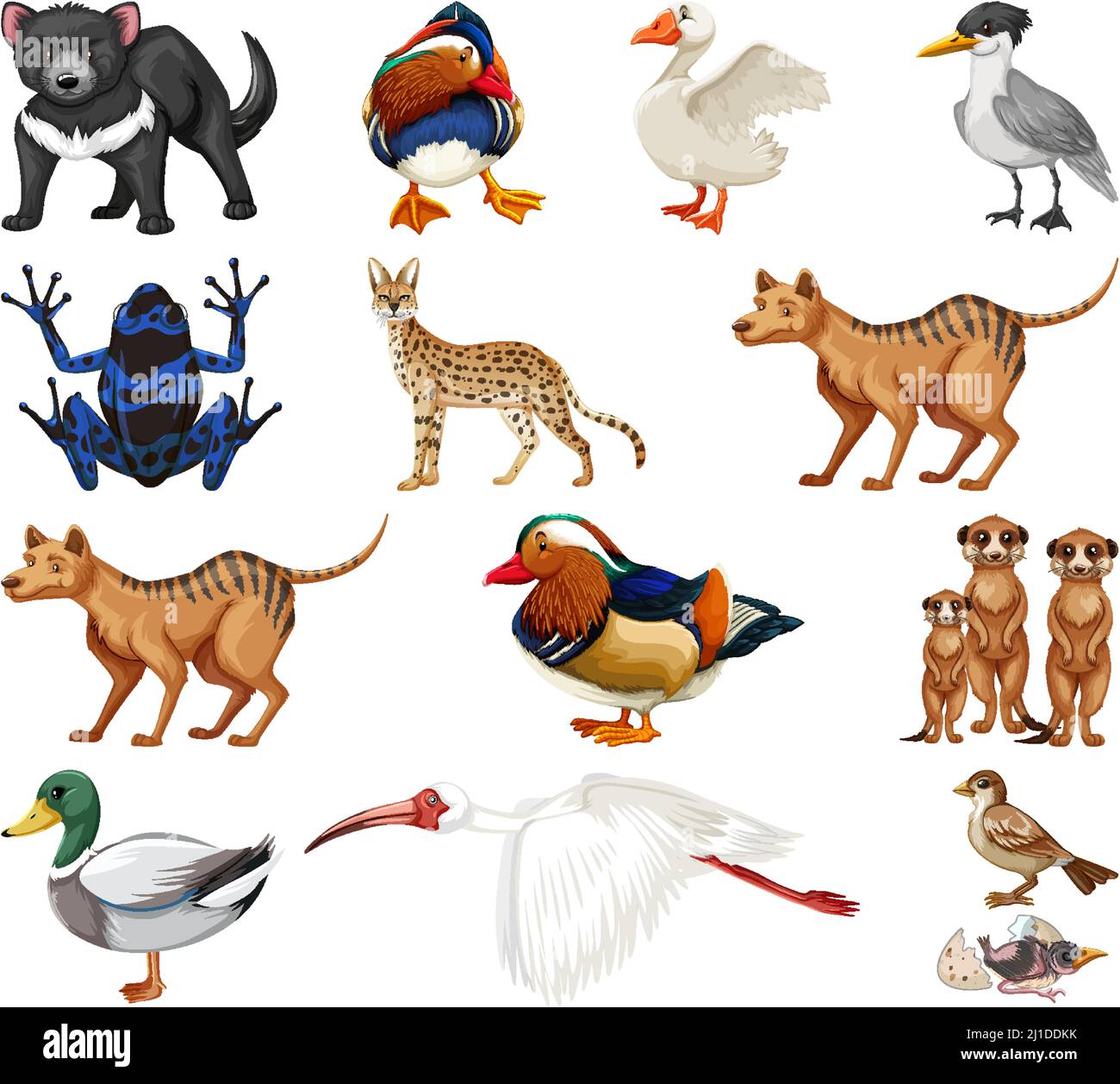 Different kinds of animals collection illustration Stock Vector Image ...