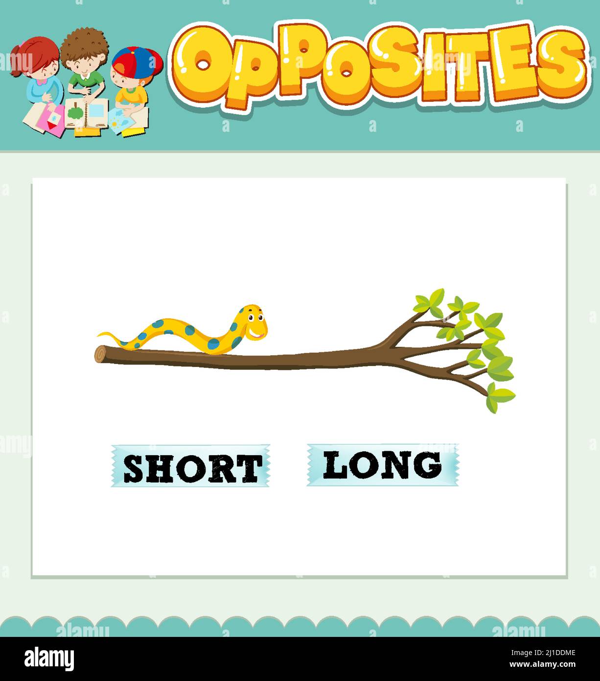 Opposite words for short and long illustration Stock Vector Image & Art ...