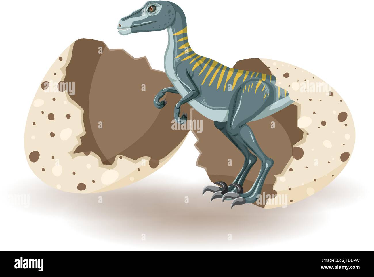 Velociraptor hatching from egg illustration Stock Vector Image & Art ...