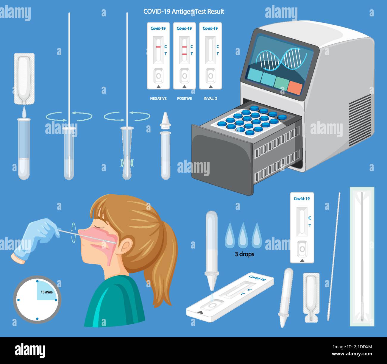Covid 19 testing with antigen test kit illustration Stock Vector Image ...