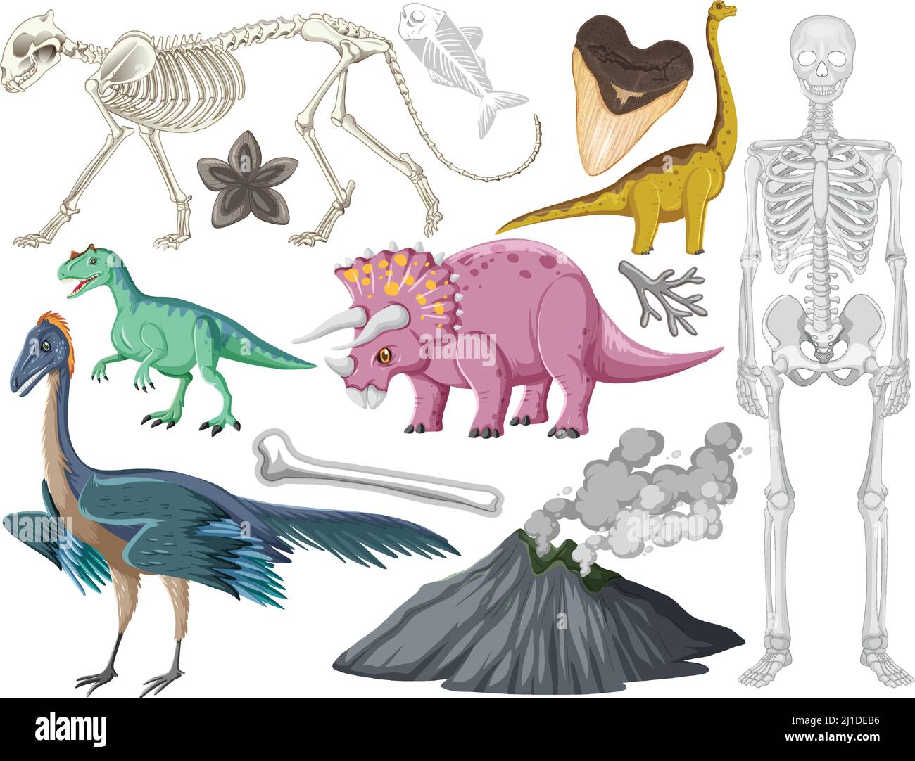 Set of different prehistoric dinosaur animal illustration Stock Vector ...