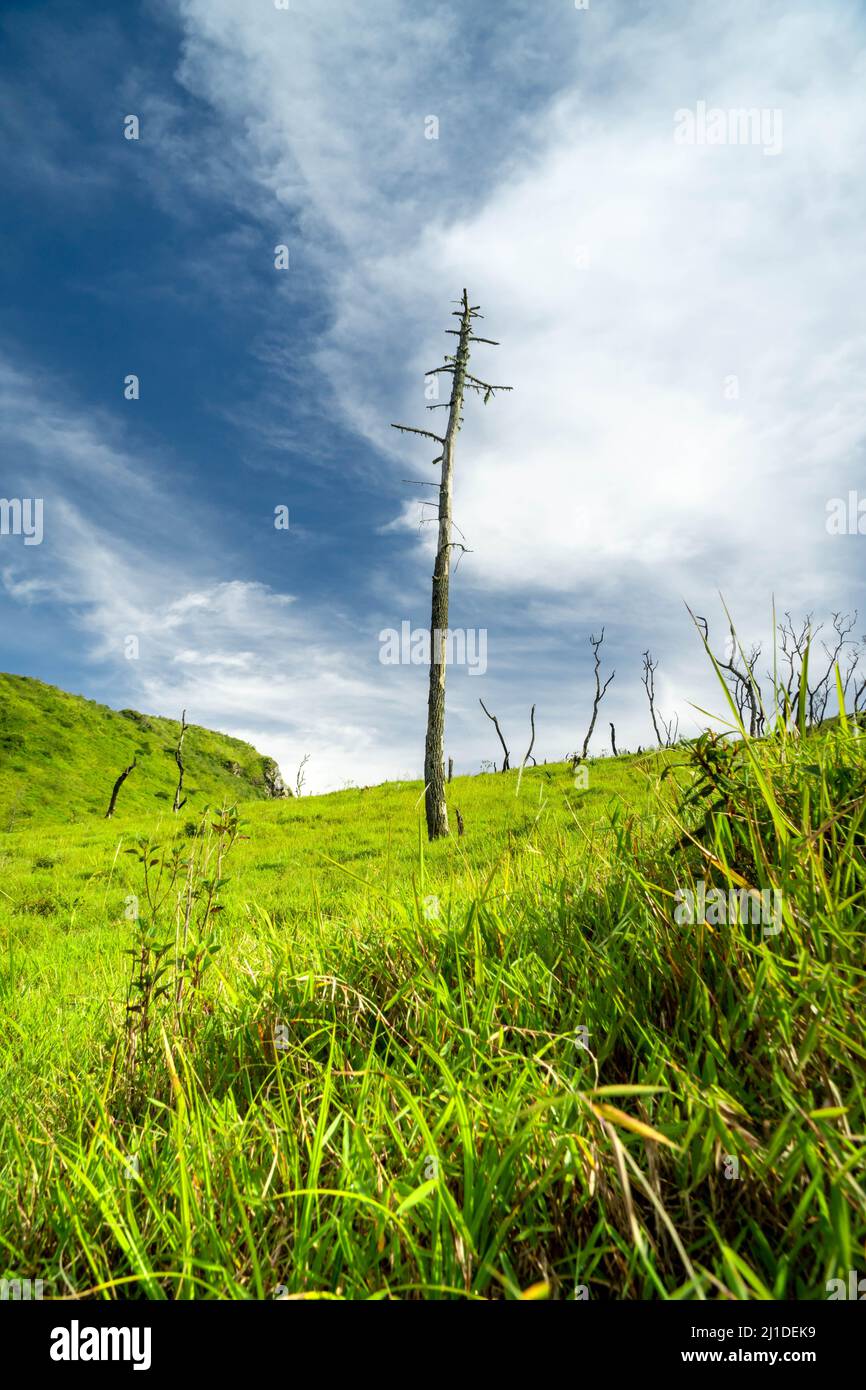 The vast green meadow above the mountains Stock Photo - Alamy