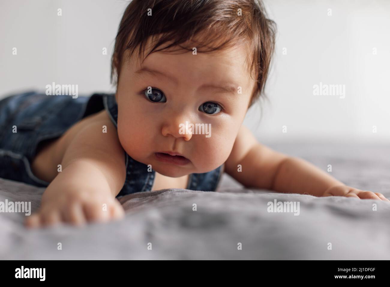 Portrait of pretty baby wearing denim romper lying on gray blanket at ... Portrait of pretty baby wearing denim romper lying on gray blanket at ...